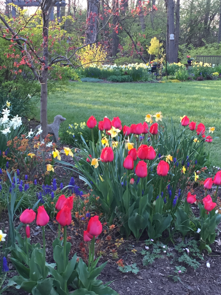 Daily Connector | Spring is in the air | Marlene Suter | Columbus Mennonite